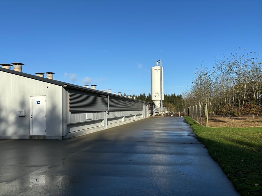 The Lodberg Legacy: 26 Years of Family Farming Excellence in Denmark