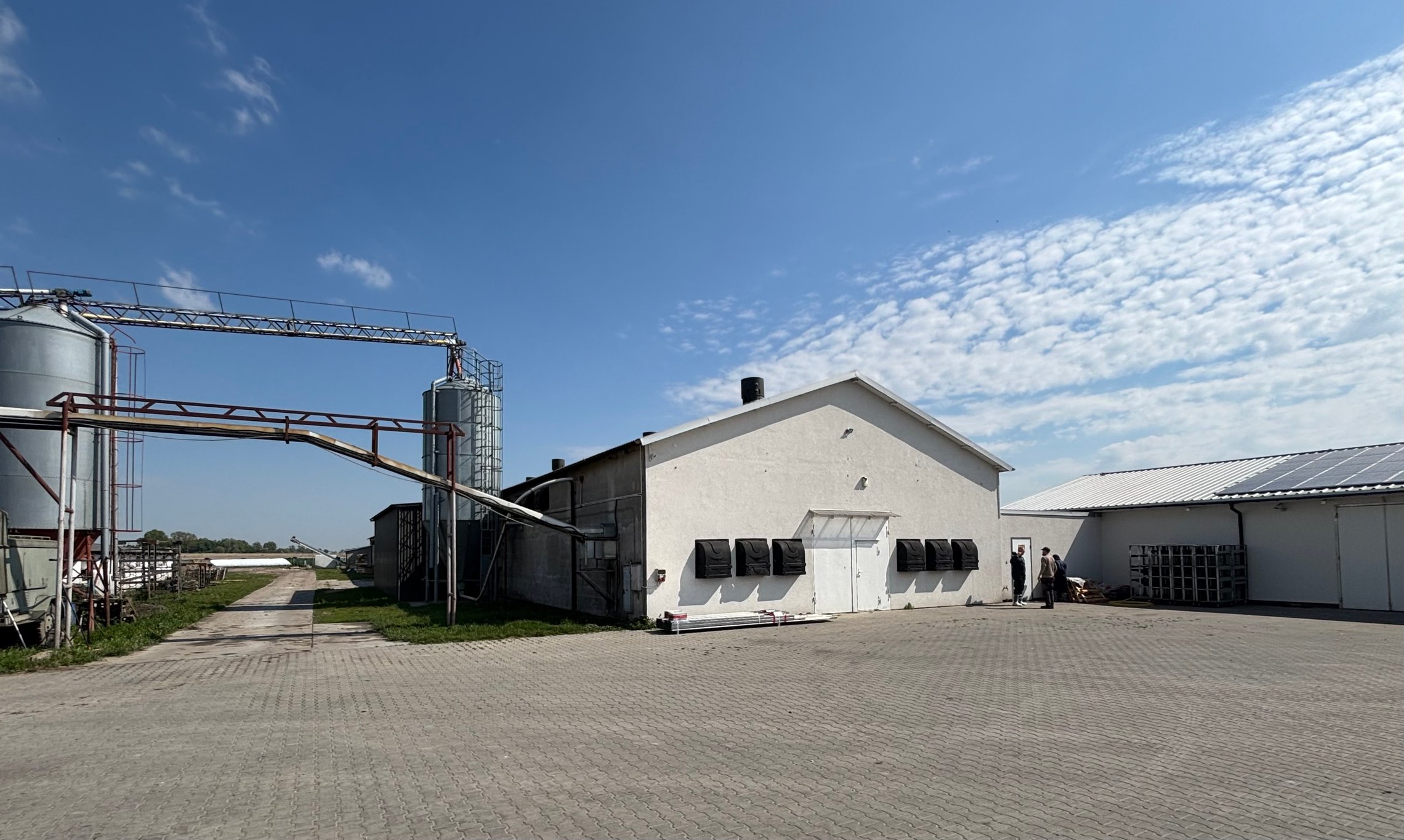 Why this Polish poultry farm switched to STERNA Lighting, and what changed