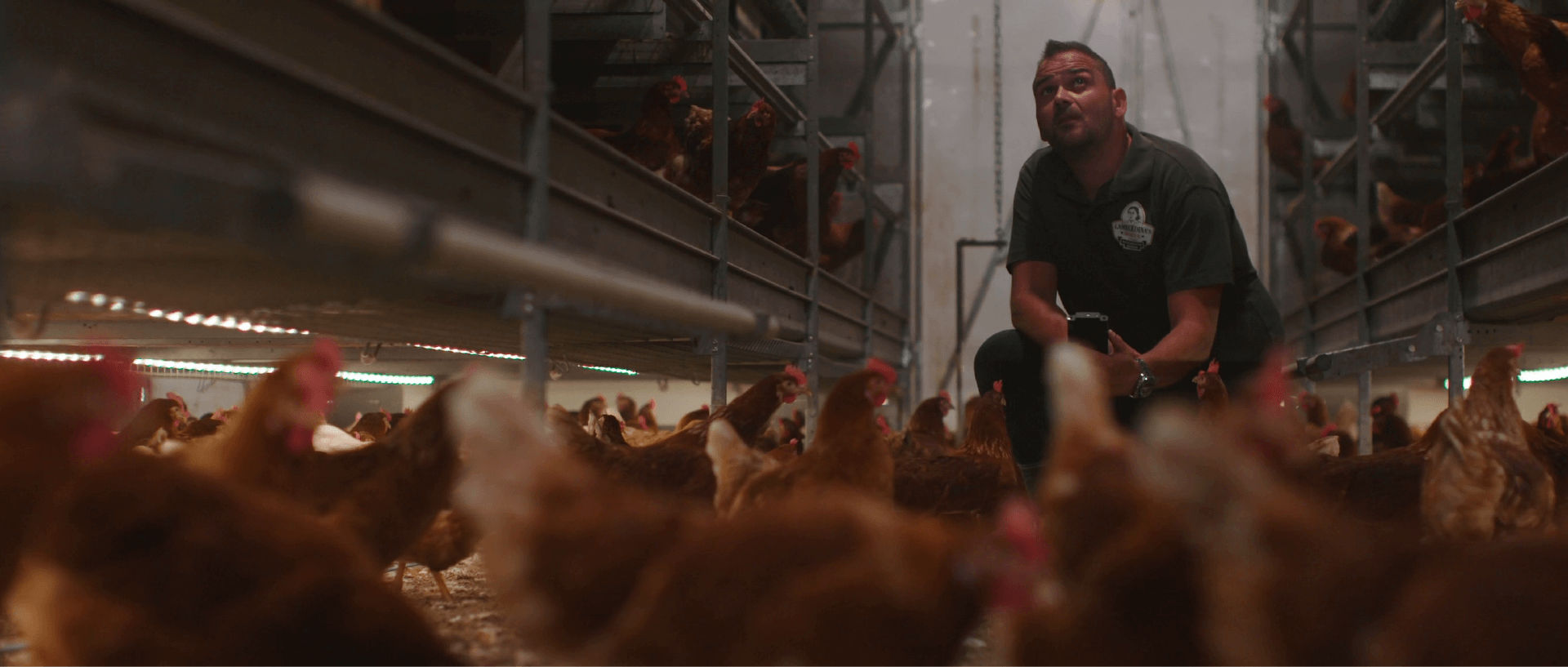 The all-in-ONE poultry light meter