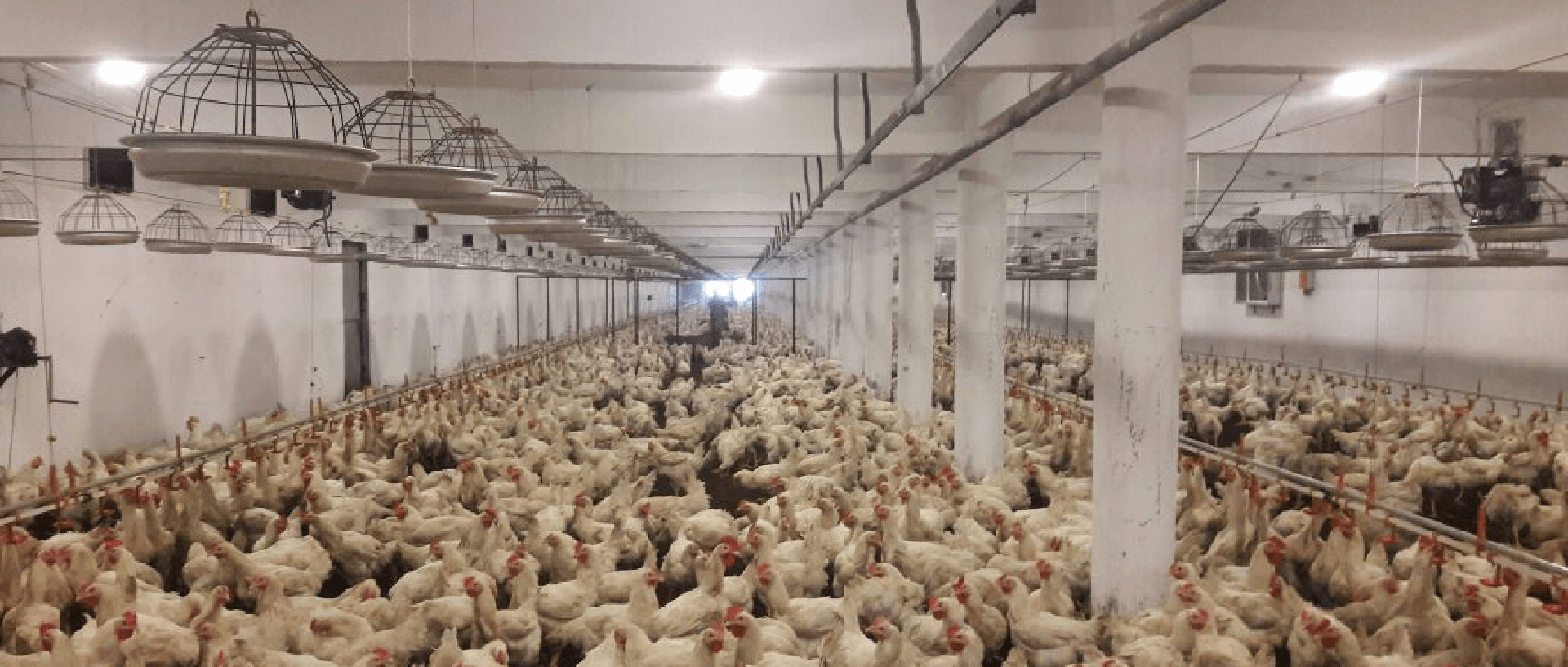 Jadeed Group: We’re glad we joined the HATO family!