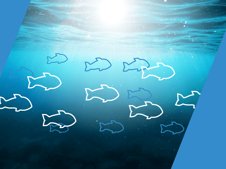 Why Lighting Matters More Than You Think in Fish Farming