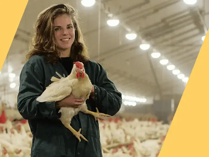 4 key benefits of optimal parent stock lighting