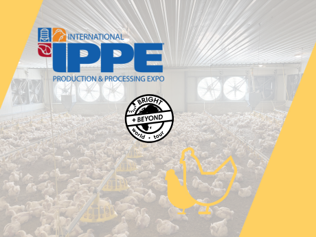 HATO Lights Up IPPE 2026 in Atlanta