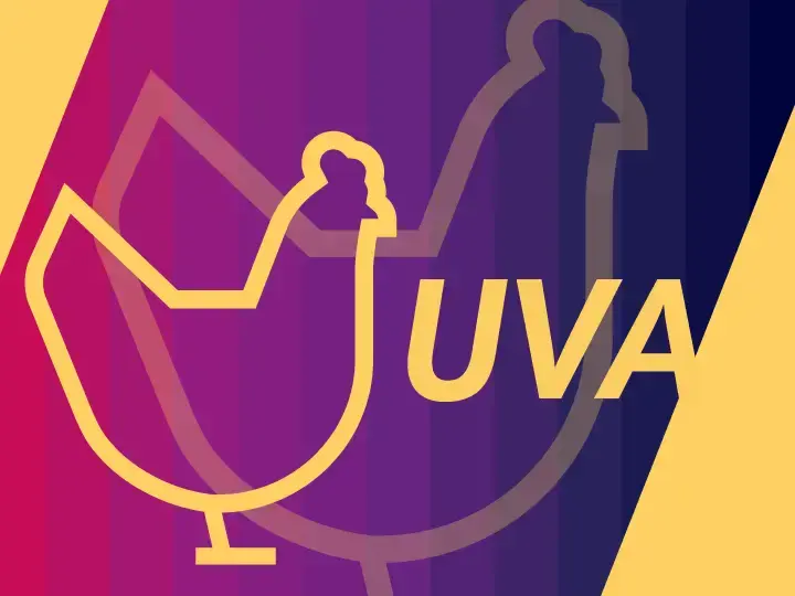 Study: UVA Lighting's Effect on Commercial Layers