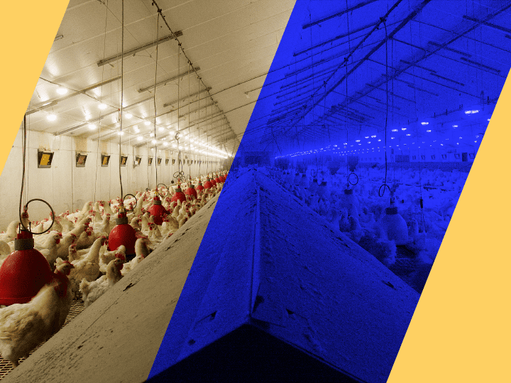 Colour lighting: everything you need to know