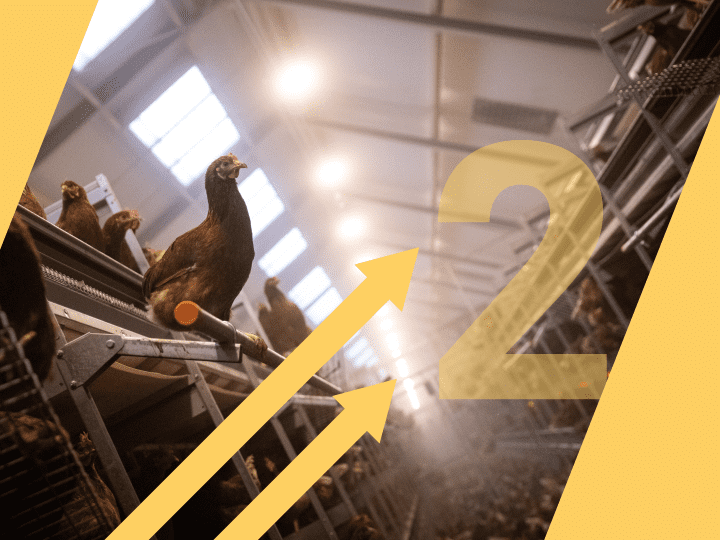 These 2 trends define the future of aviary systems