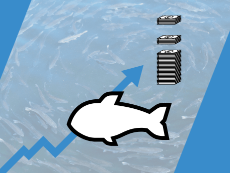 Feed Less, Grow More: What Better Fish Lighting Can Do